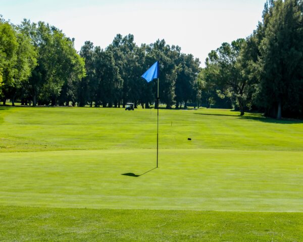 Bing Maloney Golf Course - Pacific Coast Golf Guide