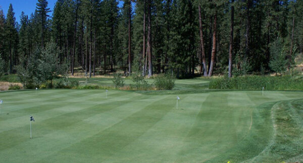 Feather River Inn Golf Course - Pacific Coast Golf Guide