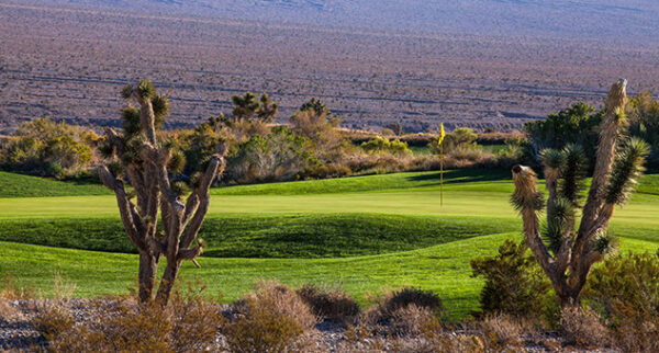 Las Vegas Paiute Resort - Snow Mountain Course - Pacific Coast Golf Guide