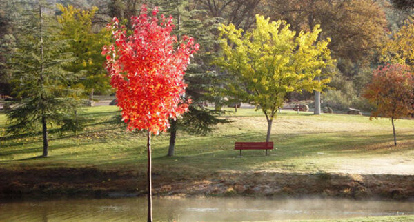 Yosemite Lakes Park Golf Course - Pacific Coast Golf Guide